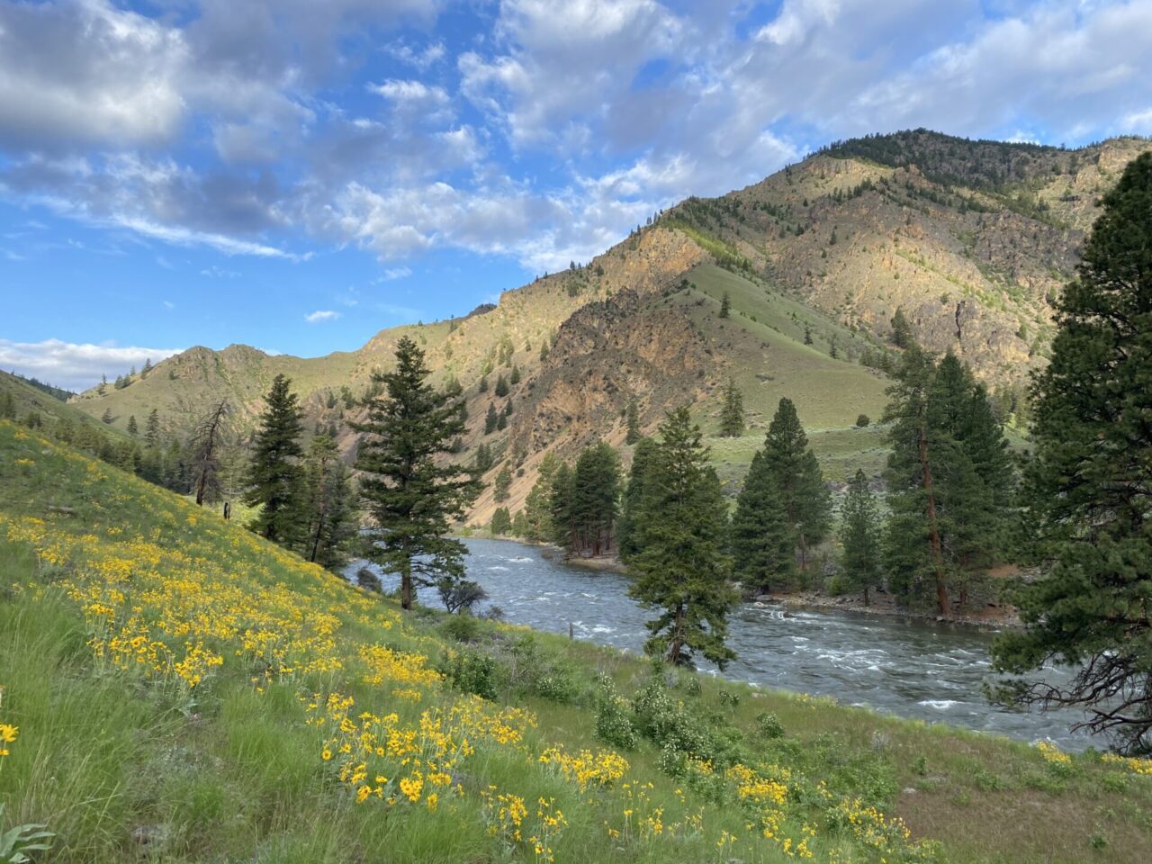 Best Time To Raft The Salmon River | Solitude River Trips